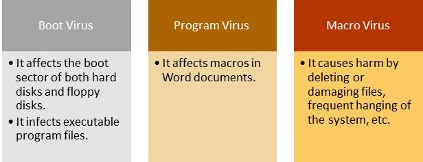 Class 7 Internet And Viruses Cyber Square